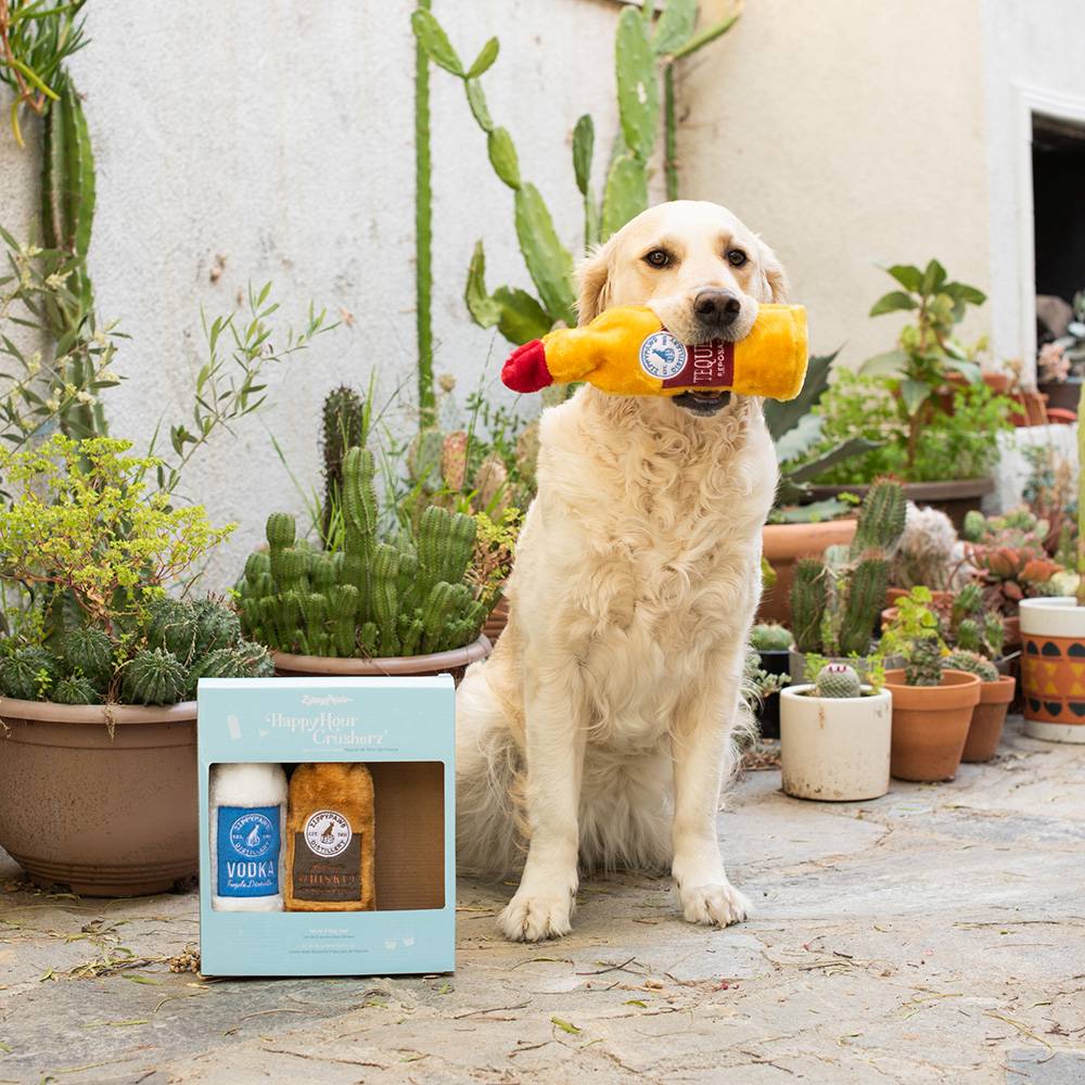 Absolutely Everything Dog & Cat Supplies.