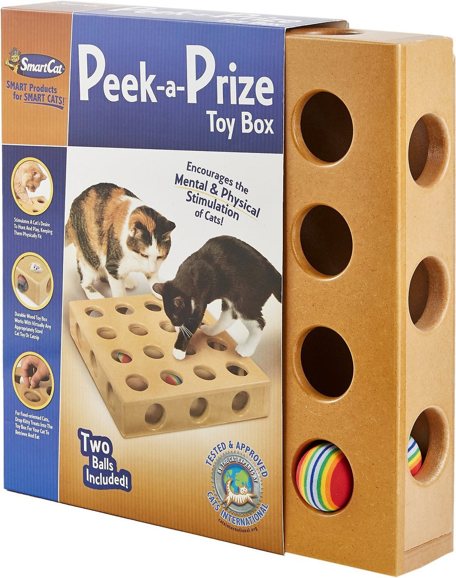 Smart Cat Toys – Absolutely Everything